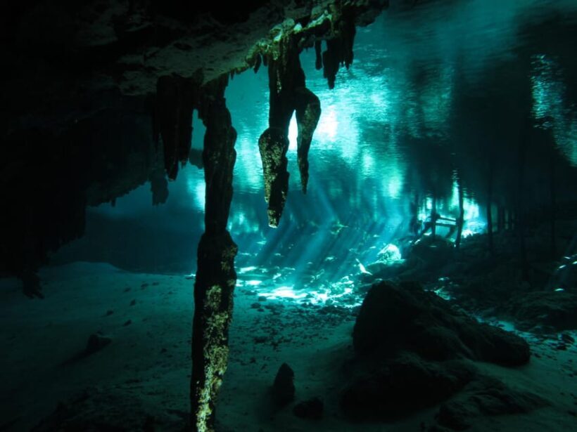 Playa del Carmen: Mind-Blowing Diving at Cenote Dos Ojos - The Experience: What Youll Love