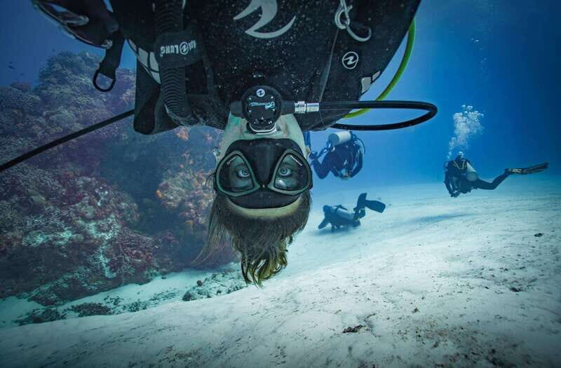Playa del Carmen: Open Water Course - A Well-Organized Introduction to Scuba
