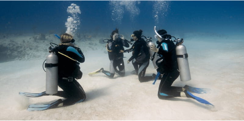 Playa del Carmen: Open Water Diver Course - Key Points