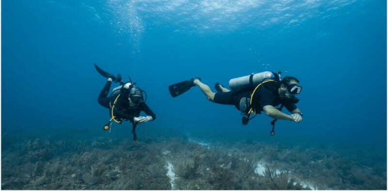 Playa del Carmen: Open Water Diver Course - Who Should Take This Course?
