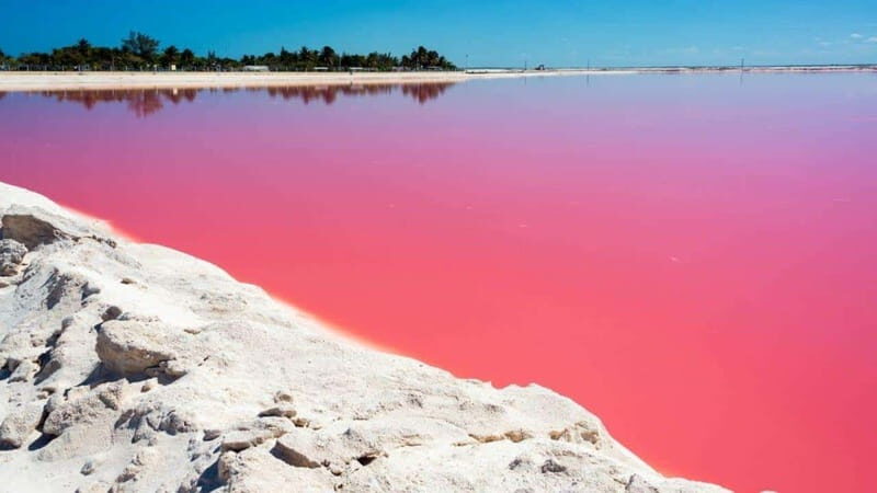 Playa del Carmen: Rio Lagartos and Las Coloradas Tour - The Itinerary Breakdown