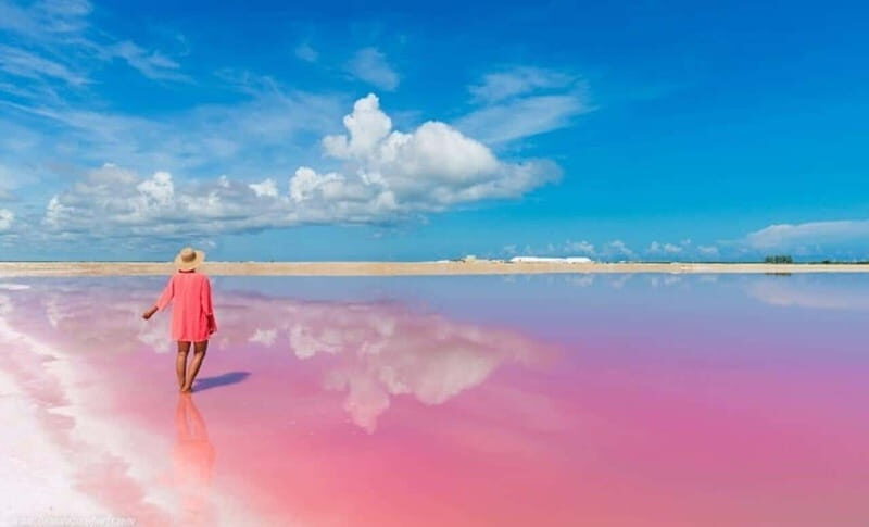 Playa del Carmen: Rio Lagartos and Las Coloradas Tour - Transportation and Group Size