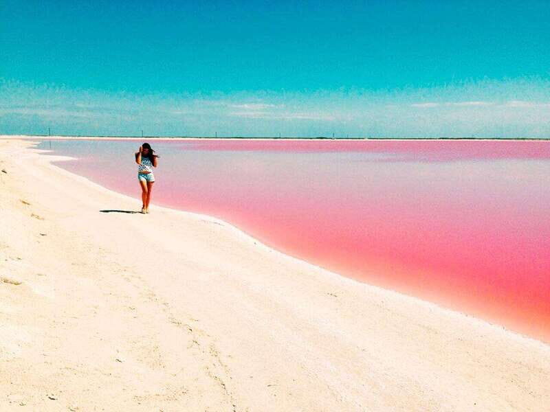 Playa del Carmen: Rio Lagartos and Las Coloradas Tour - Authenticity and Value — Who is This Tour For?