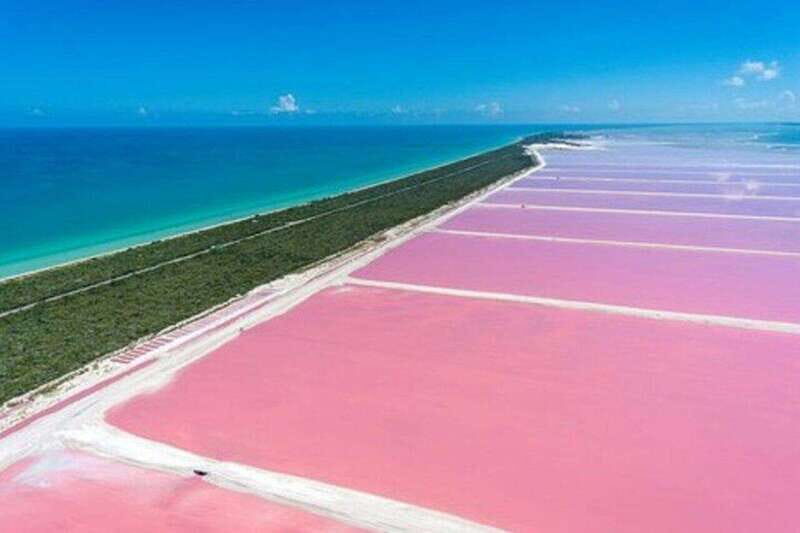 Playa del Carmen: Rio Lagartos and Las Coloradas Tour - The Bottom Line