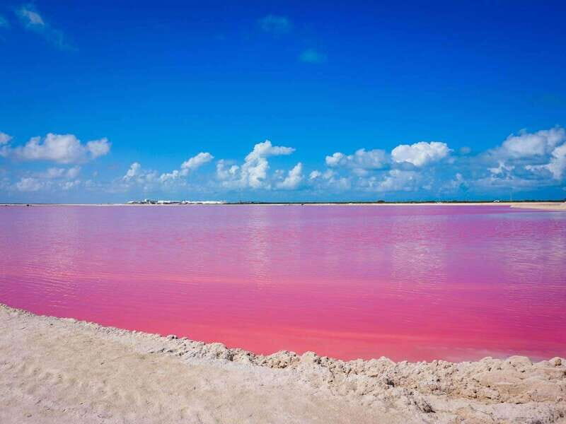 Playa del Carmen: Rio Lagartos and Las Coloradas Tour - Final Thoughts