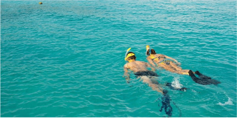 Playa del Carmen: Snorkel Tour at Local Reef - An In-Depth Look at the Snorkel Tour