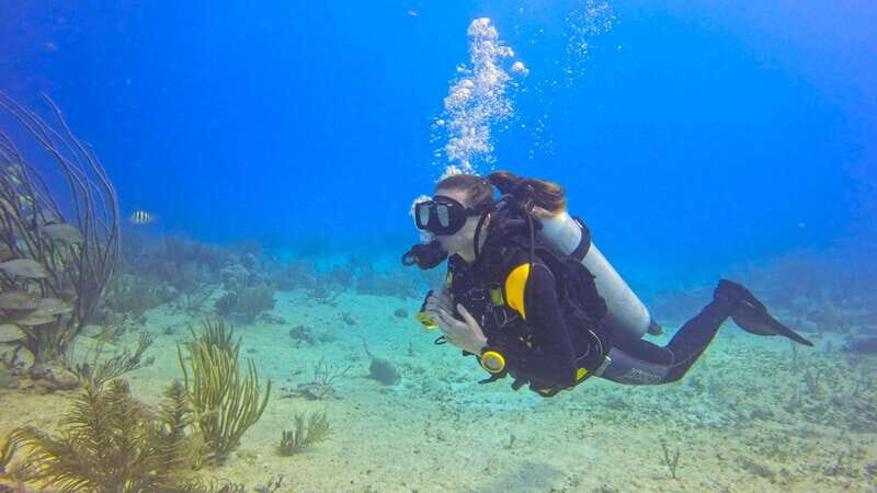 Playa del Carmen: SSI Open Water Course - Who Will Benefit Most?