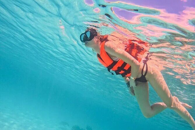 Playa del Carmen Tour Akumal Swimming With Turtles And Lagoon Yal Ku - What to Expect from the Tour