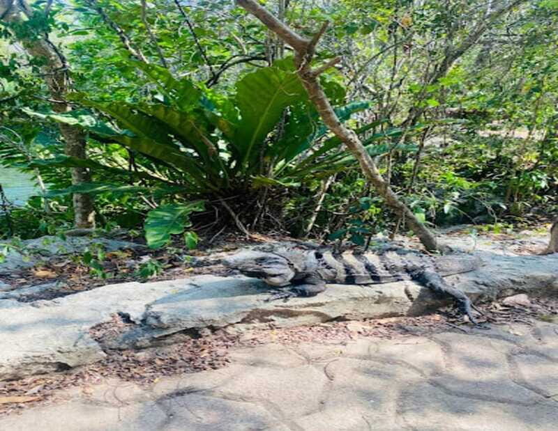 Playa del Carmen: Tour to Chichén Itzá and Valladolid - FAQ