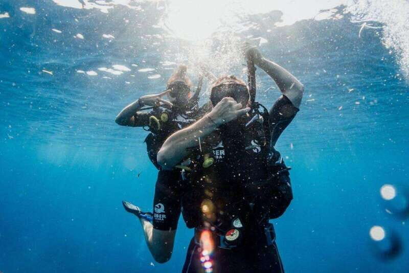 Playa del Carmen: Try Scuba Diving - No Experience Required - Key Points