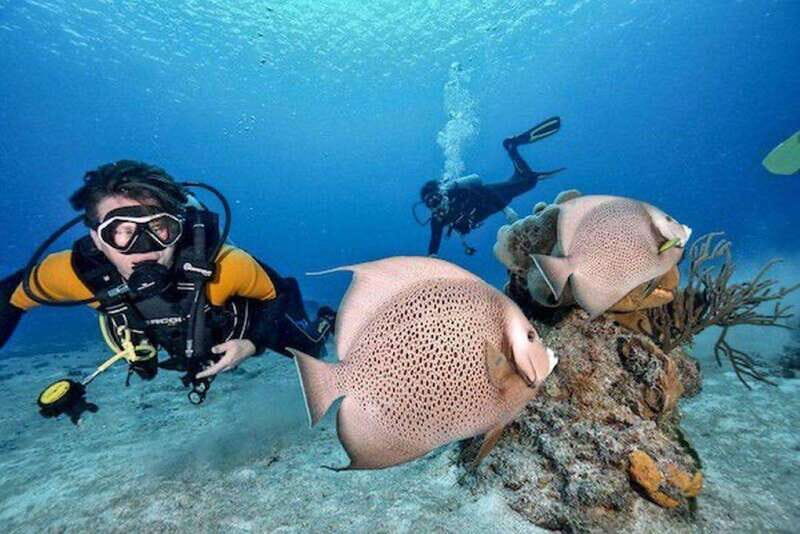 Playa del Carmen: Try Scuba Diving - No Experience Required - The Guided Dive