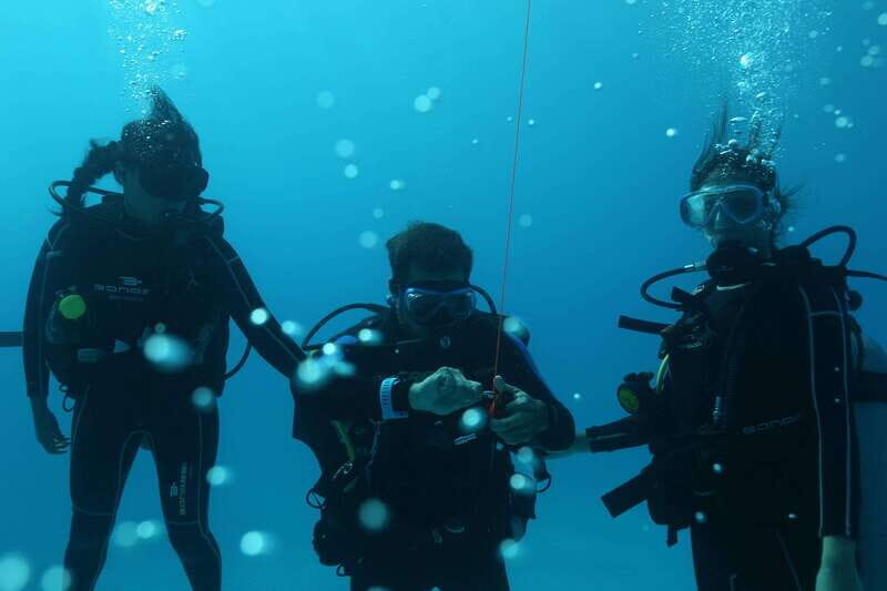 Playa del Carmen: Try Scuba Diving - No Experience Required - Who Should Consider This Tour?