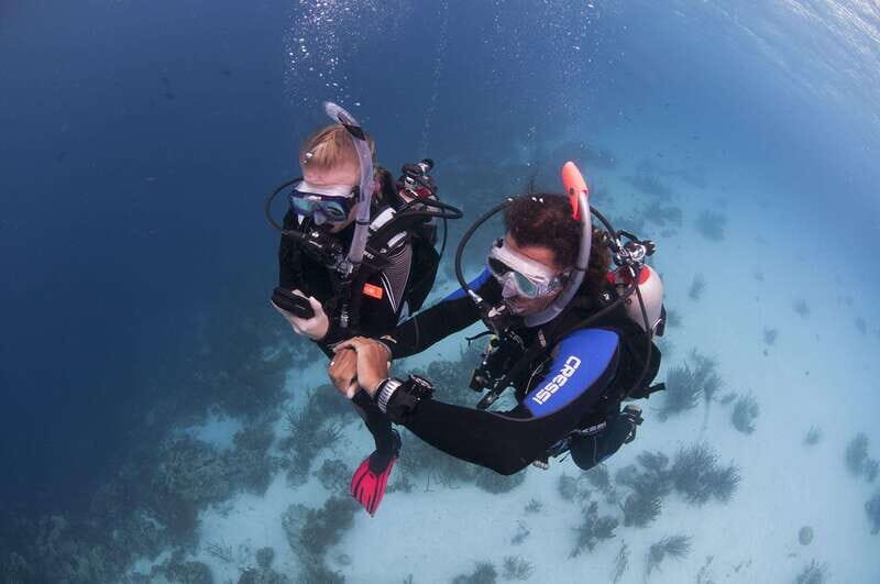 Playa del Carmen: Ultimate PADI Open Water Diver Experience - Introduction: Why Consider This PADI Course?