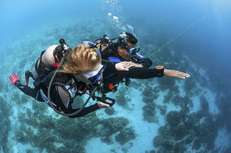 Playa del Carmen: Ultimate PADI Open Water Diver Experience - Who Will Love This Experience?