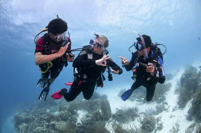 Playa del Carmen: Ultimate PADI Open Water Diver Experience - The Sum Up: Is This the Course for You?