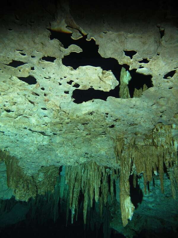 Playa del Carmen: Unforgettable Dive @ Cenote Chikin Ha - What to Bring and Prepare