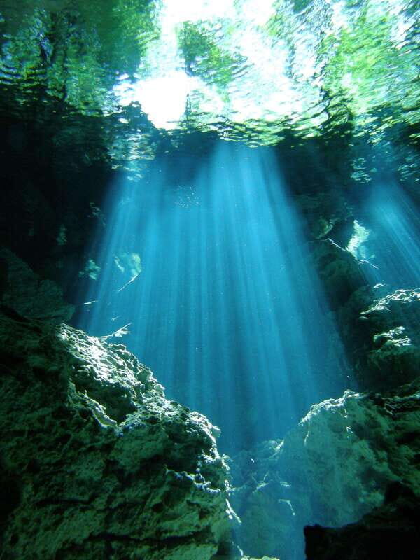 Playa del Carmen: Unforgettable Dive @ Cenote Chikin Ha - Authentic Experiences and Feedback