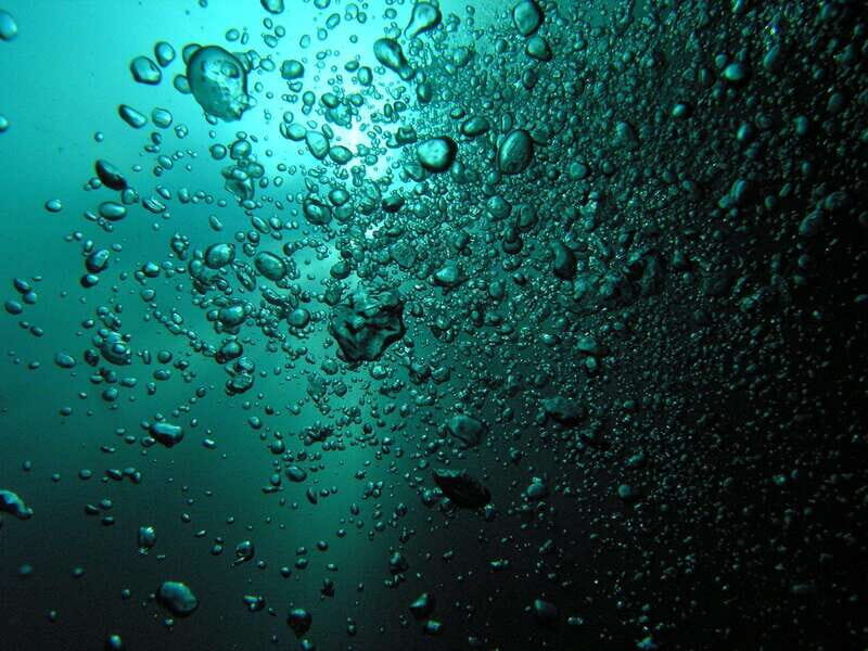 Playa del Carmen: Unforgettable Dive @ Cenote Chikin Ha - Is This Tour Right for You?