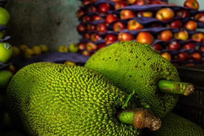 Playa del Carmen: Vegan Food Walking Tour - Final Thoughts: Is It Worth It?
