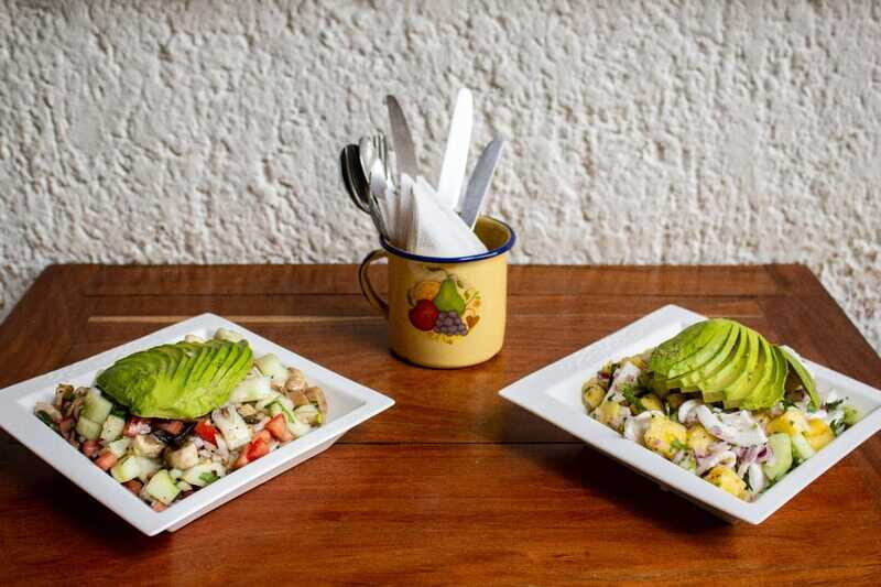 Playa del Carmen: Vegan Food Walking Tour - FAQ for the Playa del Carmen Vegan Food Walking Tour