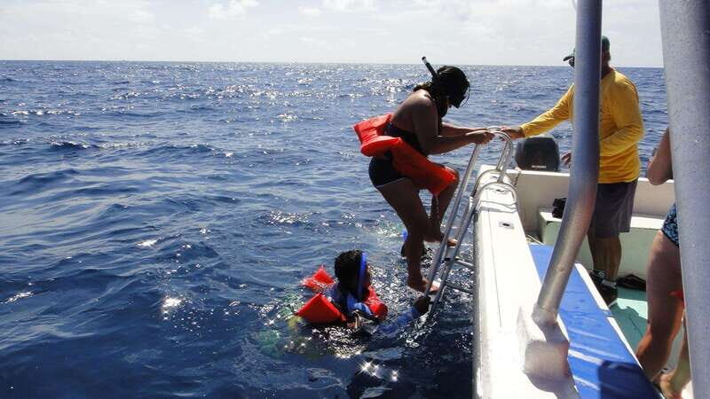 Playa del Carmen:Whale shark Experience in the Caribbean Sea - Authentic Encounters with Nature