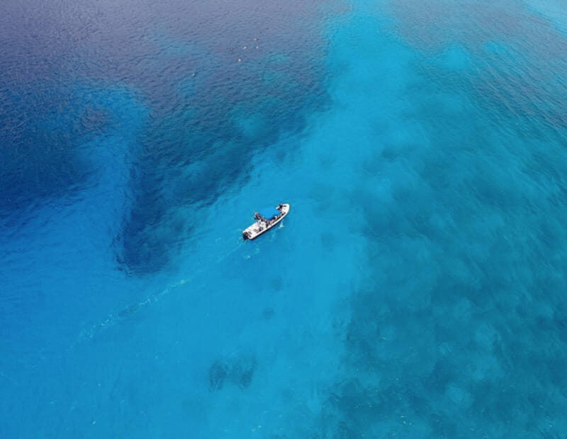 Playa: Dive in Cozumel - Who Should Consider This Tour?