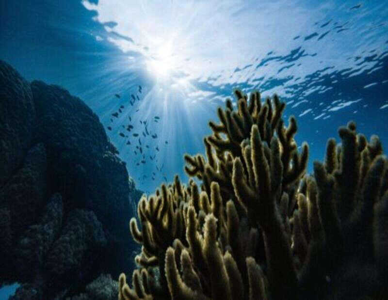 Playa: Diving Local Reef - Final Thoughts