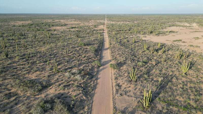 Playa el Cardonal: tour and sandboarding activity in the dunes of Sahuimaro - An Honest Look at the Playa El Cardonal Tour