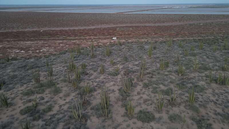 Playa el Cardonal: tour and sandboarding activity in the dunes of Sahuimaro - Final Thoughts