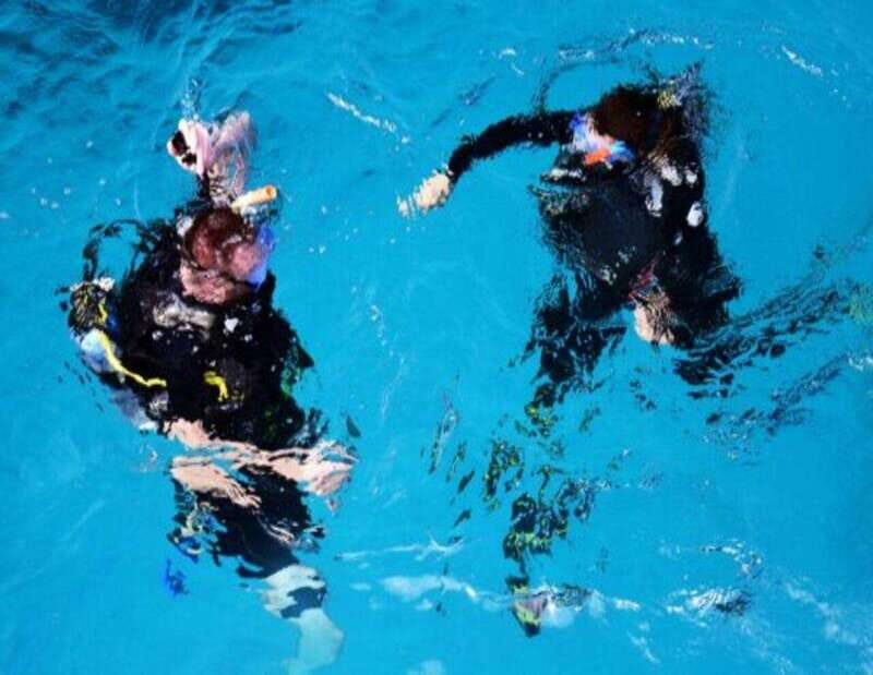 Playa: Night Dive - An In-Depth Look at Playa: Night Dive