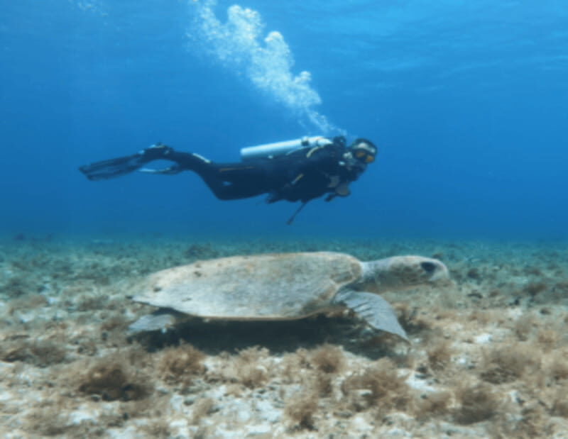 Playa: PADI Advanced - Practical Tips for Travelers