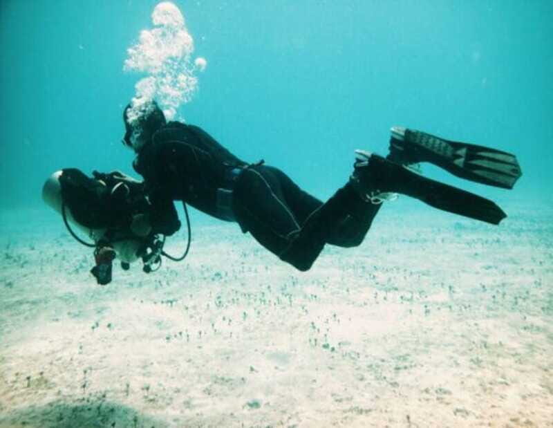 Playa: PADI Dive Master - FAQ