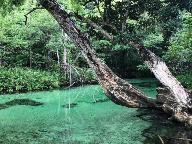 Playa Rincon Safari Adventure from Samaná for cruise ships - FAQ – Your Quick Guide to the Playa Rincon Safari Adventure