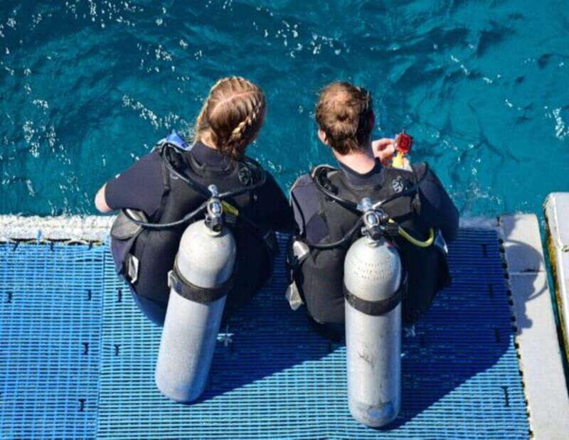 Playa: Scuba Discovery - Cost vs. value