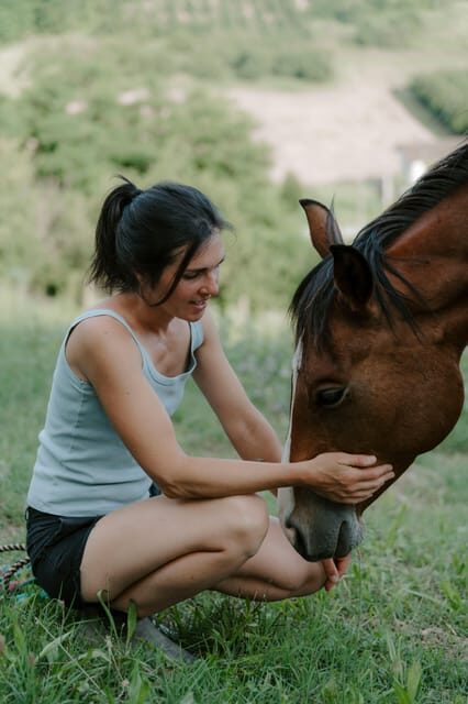 Playful Activities with Animals - Playful Activities with Animals: A Hands-On Experience in Piedmont