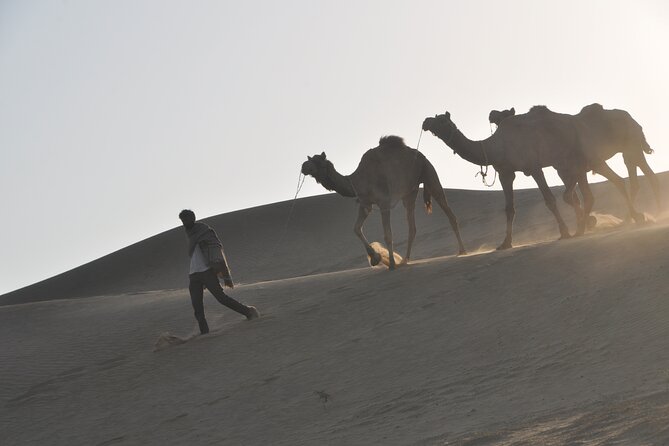 Pleasant Non-Touristic Sun Rise Tours with Breakfast on Dunes - The Authenticity and Reviews