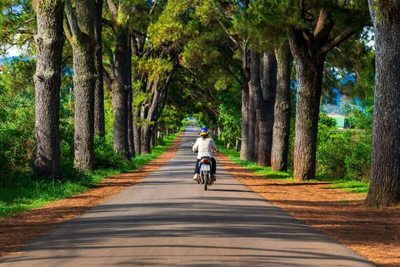 Pleiku: Culture, Landscape and Culinary Tour with Pickup - Serene Spirituality at Minh Thanh Pagoda