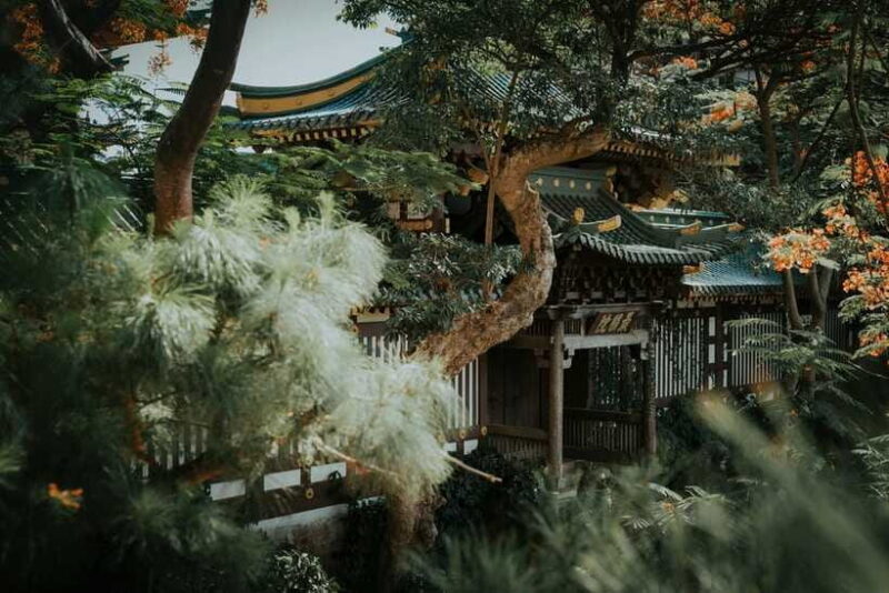 Pleiku: Culture, Landscape and Culinary Tour with Pickup - Tasting Traditional Vietnamese Flavors