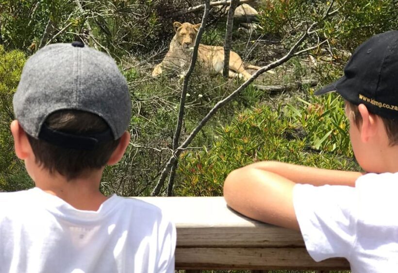 Plettenberg Bay: Wild Cat and Wildlife Guided Tour - FAQ