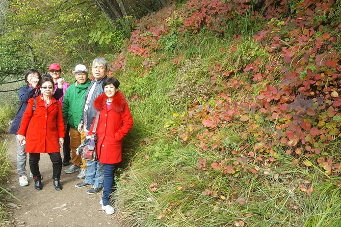 Plitvice Lakes and Rastoke Private Day Tour From Zagreb - Getting to Plitvice Lakes National Park