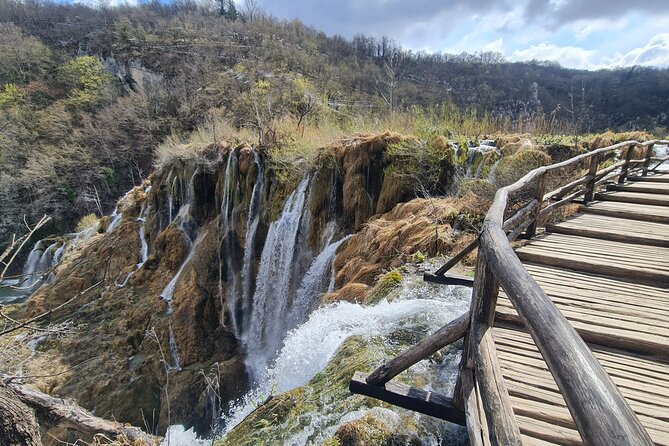 Plitvice Lakes Day Tour Review: A Scenic Adventure - Customer Feedback Highlights