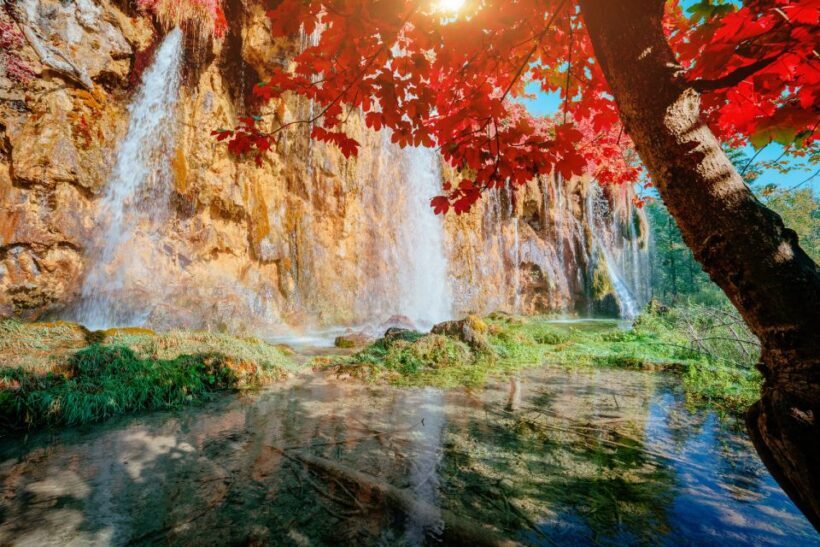 Plitvice Lakes National Park: Day Trip from Omi - What Travelers Are Saying