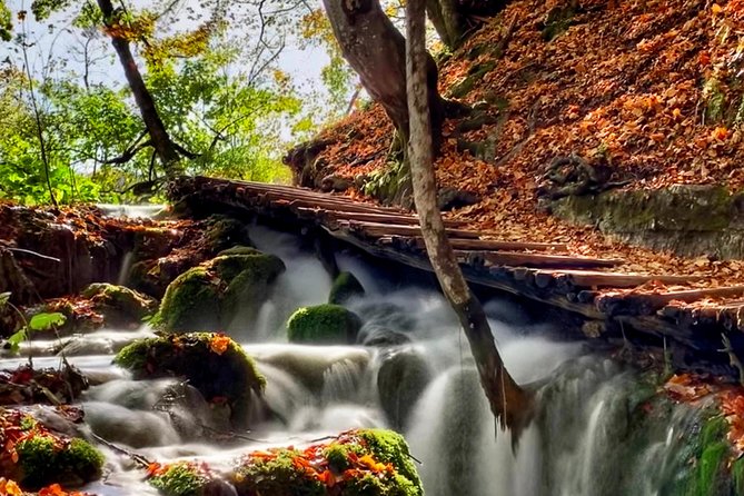 Plitvice Lakes National Park - Private Day-Trip From Zagreb - Pricing and Availability