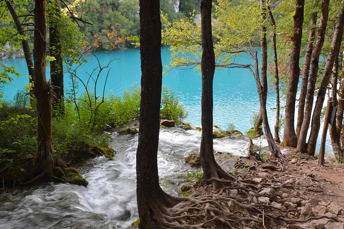 Plitvice Lakes National Park Tour From Zadar - What to Expect During the Tour