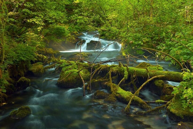 Plitvice Lakes Private Guided Tour - FAQ