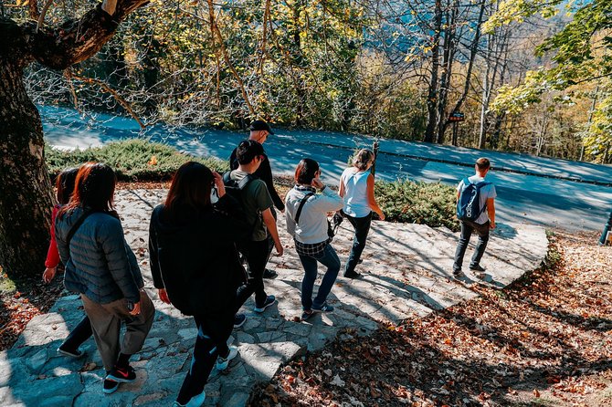 Plitvice Lakes & Rastoke Small-Group, W/ Ticket (Eng or ESP) - Traveler Feedback