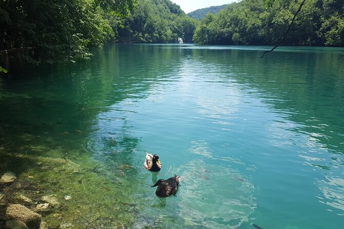 Plitvice Lakes Small Group Tour Ecco From Split or Trogir - Preparing for Your Visit