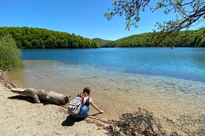 Plitvice private tour driver + guide up to 8 ppl from Zadar - Why Travel with a Private Guide?