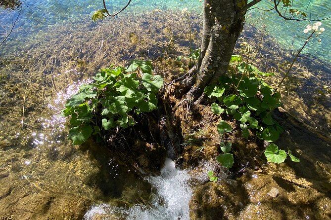 Plitvice private tour driver + guide up to 8 ppl from Zadar - Practical Details and Value