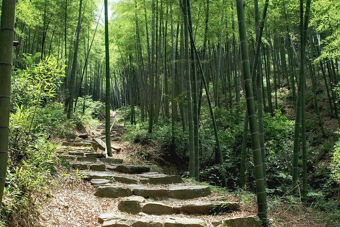 Plog and Hike Mount Mogan Nature Reserve  Guided Outdoor Tour from Hangzhou - Value for Money and Pricing